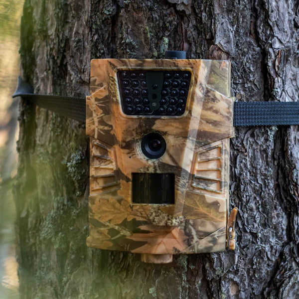 Trekker Trail Camera Recording - 49,90 EUR - Nordic ProStore